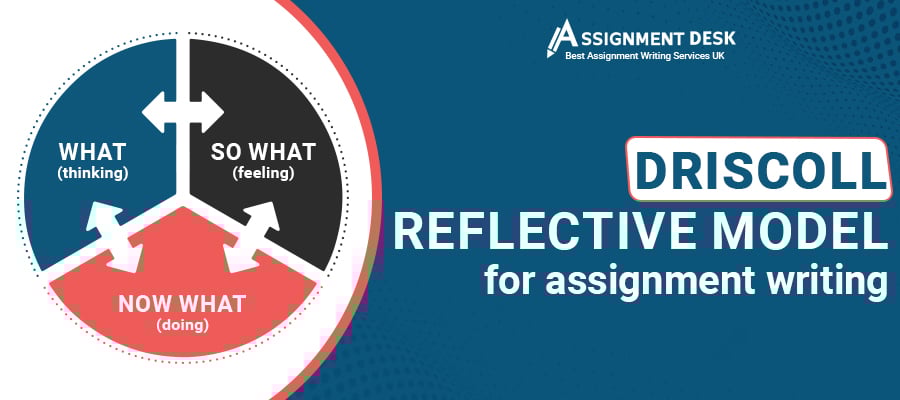 Driscoll Reflective Model: How to Use in Assignment Writing?